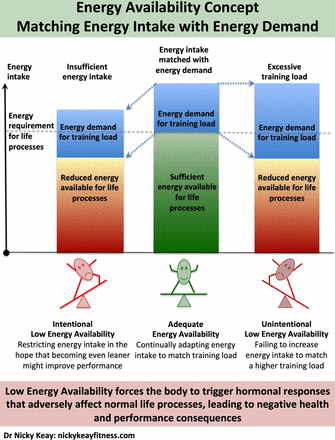 Infographic. Energy availability: concept, control and consequences in ...